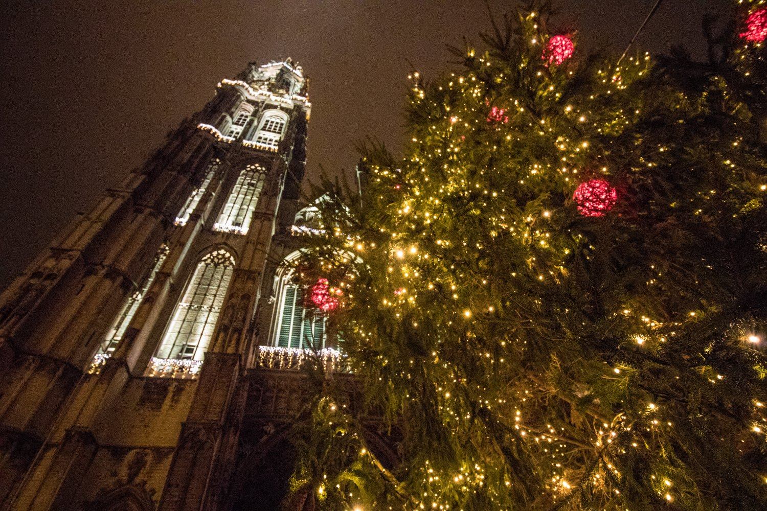 Winter in Antwerpen wordt magisch mooi | N-VA Stad Antwerpen